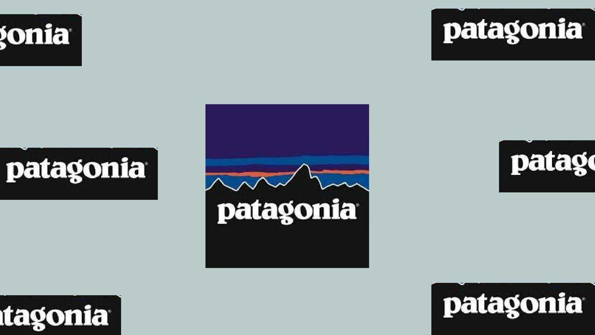 Yvon Chouinard: Founding of Patagonia. A Journey from Climbing ...